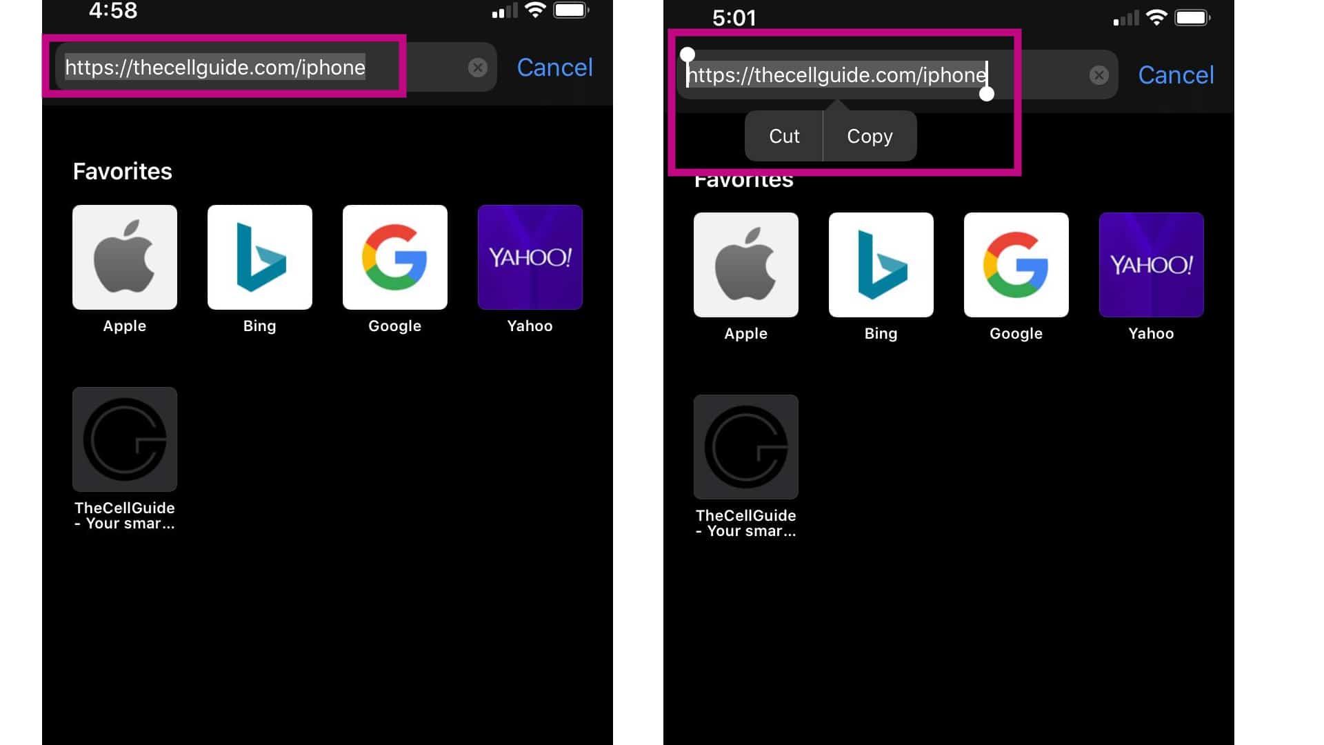 Safari Copy URL TheCellGuide